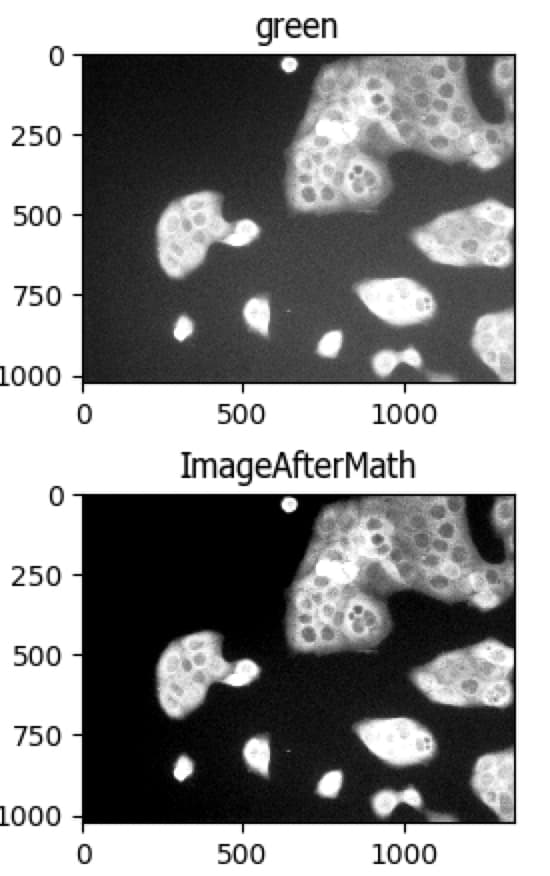 Background subtraction help - Image Analysis - Image.sc Forum