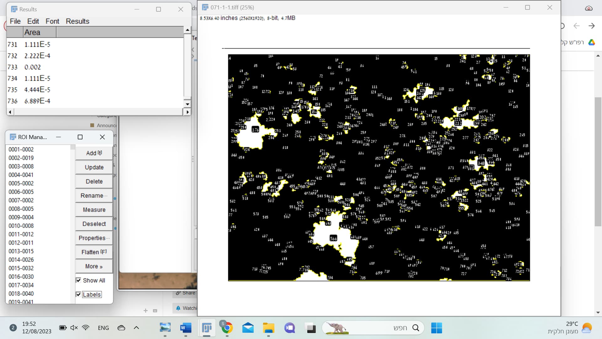 Imagej analyze aggregate - Image Analysis - Image.sc Forum