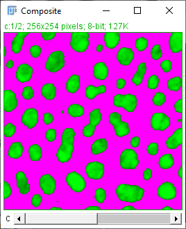 ImageJ: Apply one image as mask on another - Image Analysis - Image.sc ...