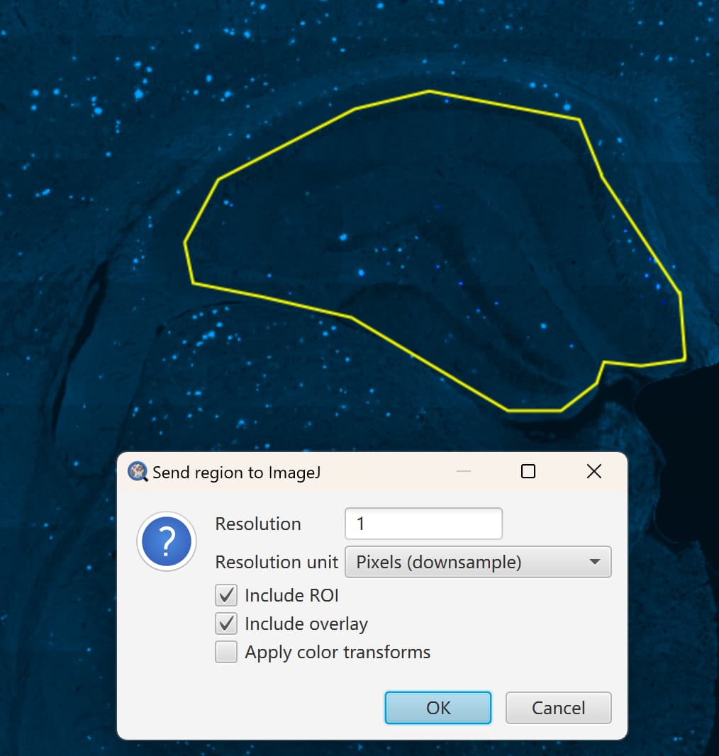 Exporting ROI from QuPath to ImageJ with raw Brightness/Contrast settings - Image Analysis ...