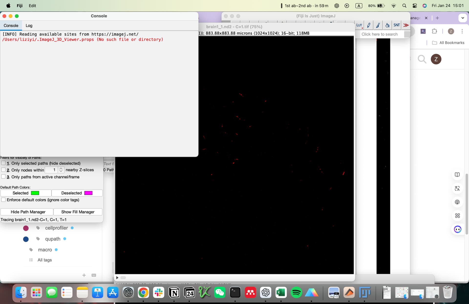 FIJI update problem - Usage & Issues - Image.sc Forum