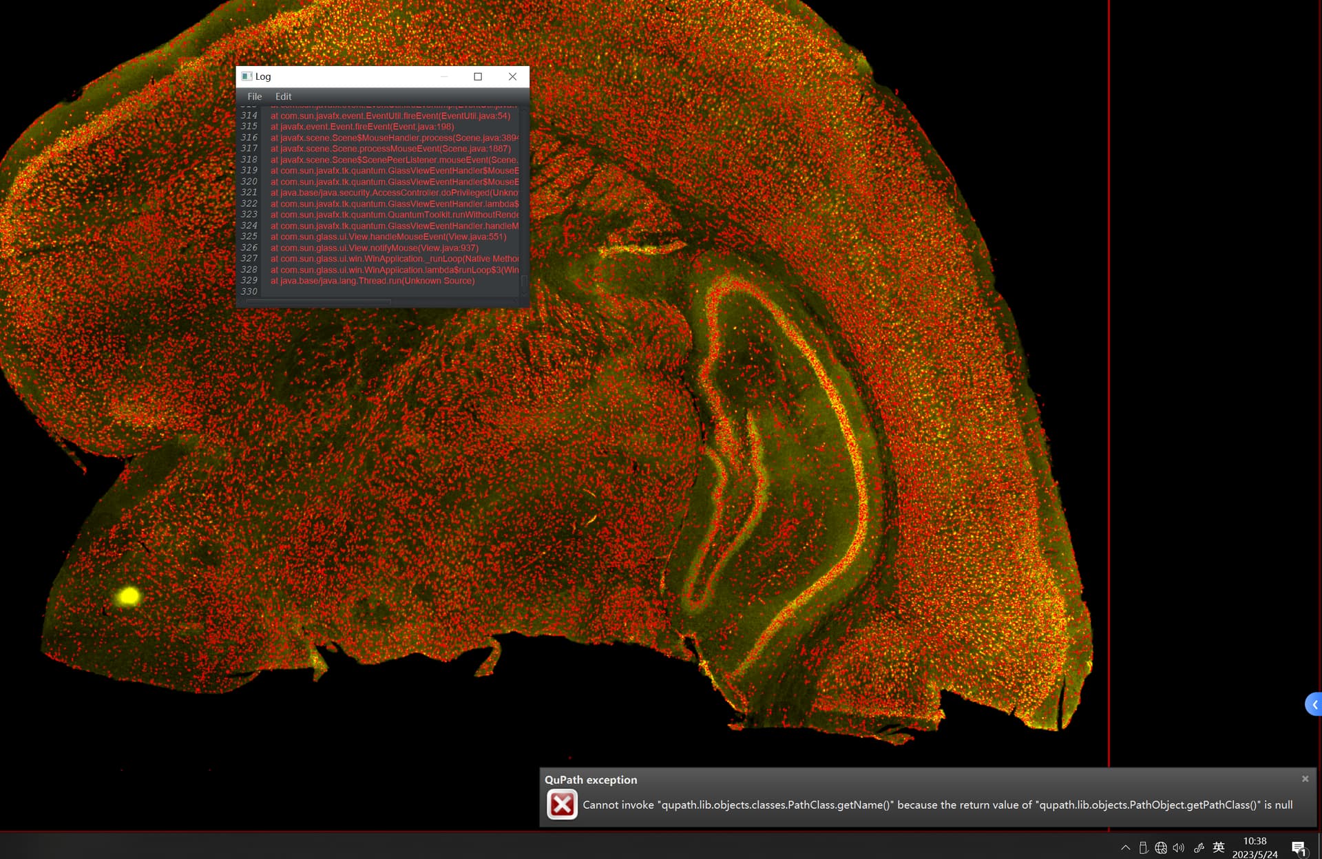 ABBA - Problem with mirror/unmirror and QuPath - Usage & Issues - Image.sc Forum