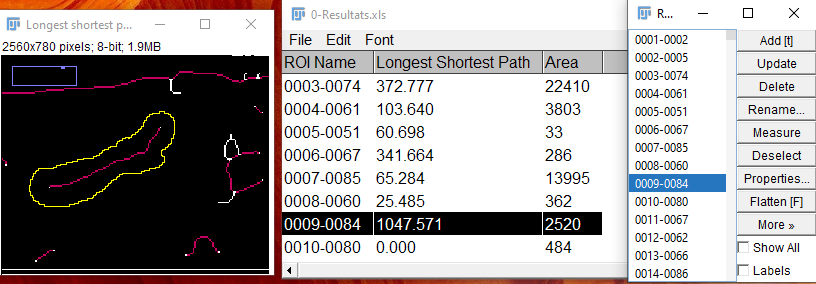 How to Combine Skeletonize and Analyze particles? - Image Analysis ...