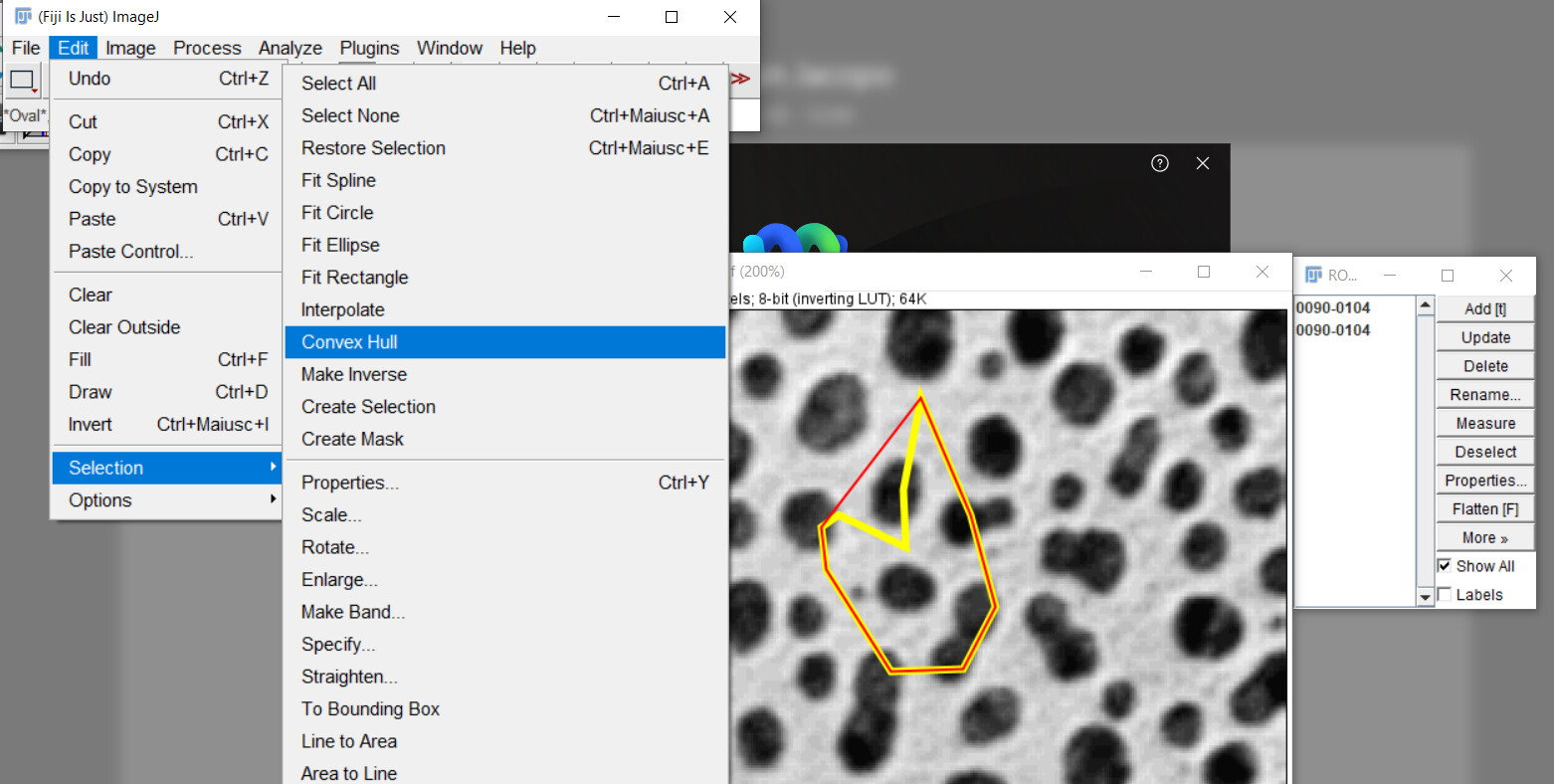 Definition of Solidity - Image Analysis - Image.sc Forum