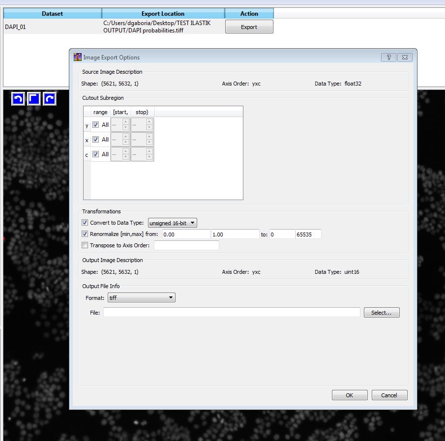Ilastik Pixel Classifier: batch export - Image Analysis - Image.sc Forum