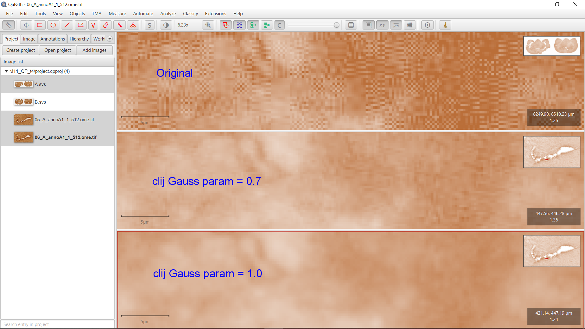 ᴗ• Qupath Scripting 1 Using Clupath To Save Smoothed Image Regions Usage And Issues 3620