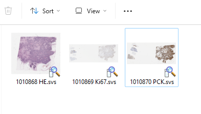 Preview of large .svs files in Mac and Windows - Usage & Issues - Image ...