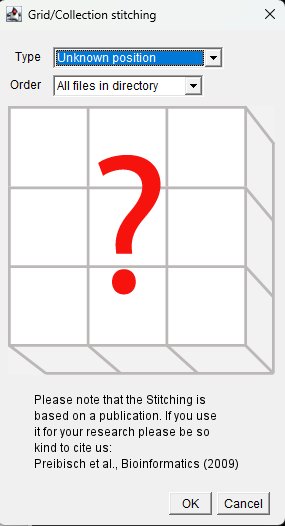 ZStack Image Stitching with BigStitcher Plugin - Image Analysis - Image.sc Forum