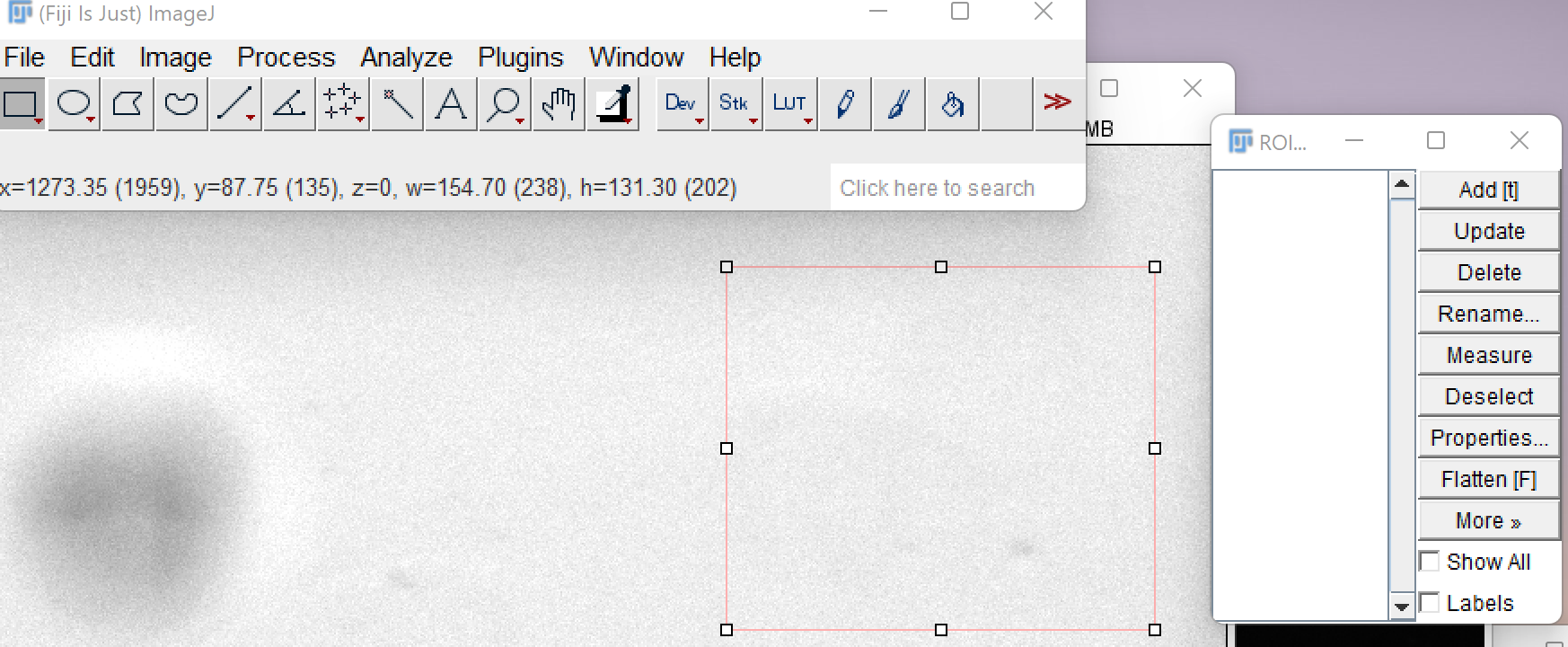 Fiji: Imagej: ROI manager width and height - Usage & Issues - Image.sc Forum