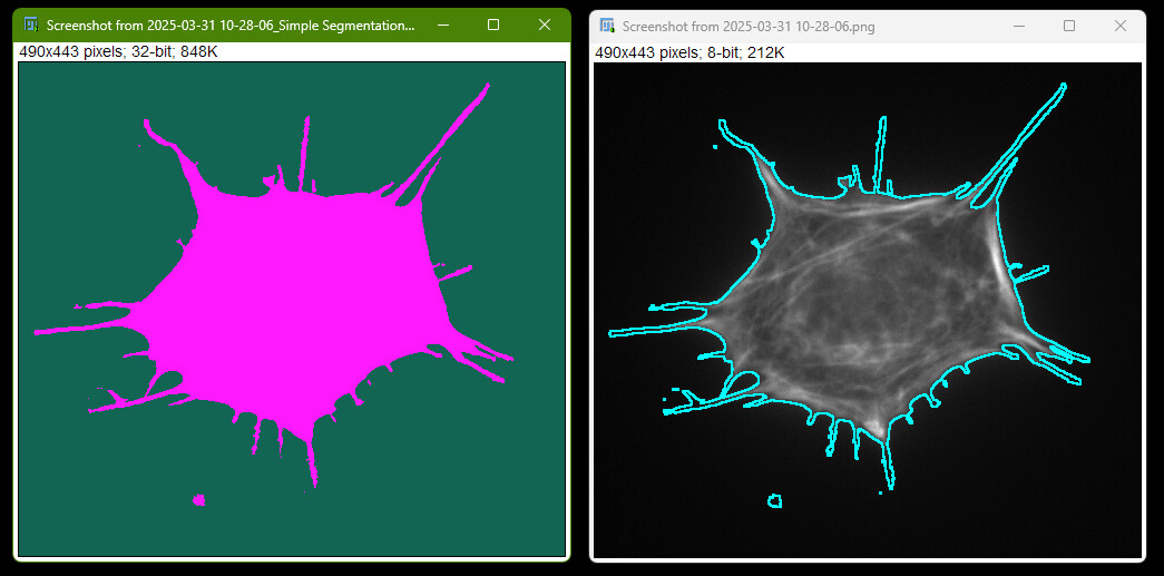 Cellpose Segmentation Training cyto2 with own images - not precise enough - Usage & Issues ...