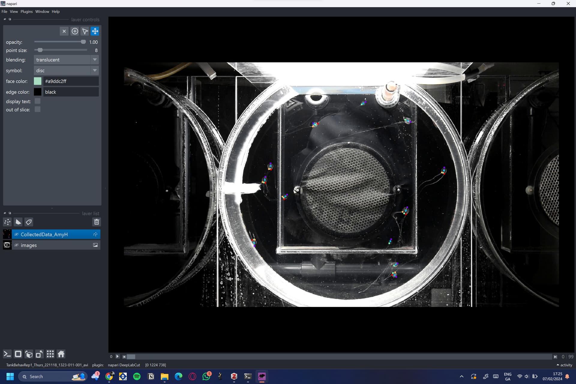 DeepLabCut Napari GUI - Keypoint Controls missing - Usage & Issues - Image.sc Forum