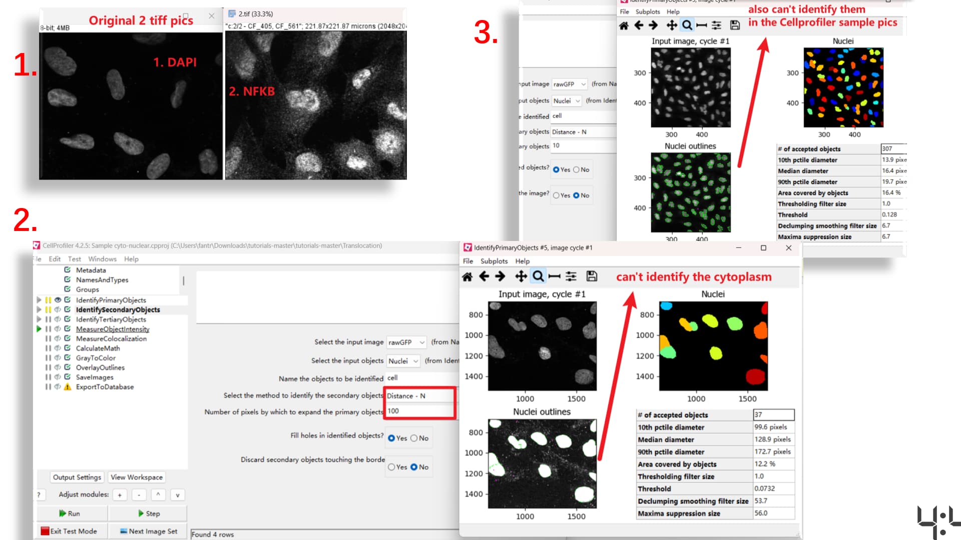 Failure in IdentifySecondaryObjects - Image Analysis - Image.sc Forum