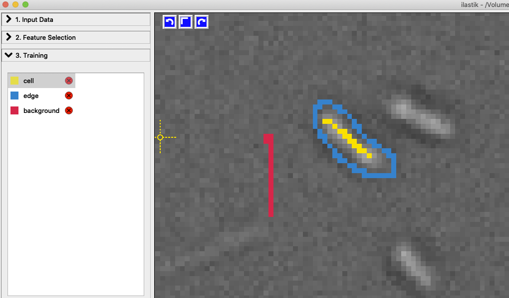 Optimising Ilastik Pixel classification output (via watershedding?) - Image Analysis - Image.sc ...