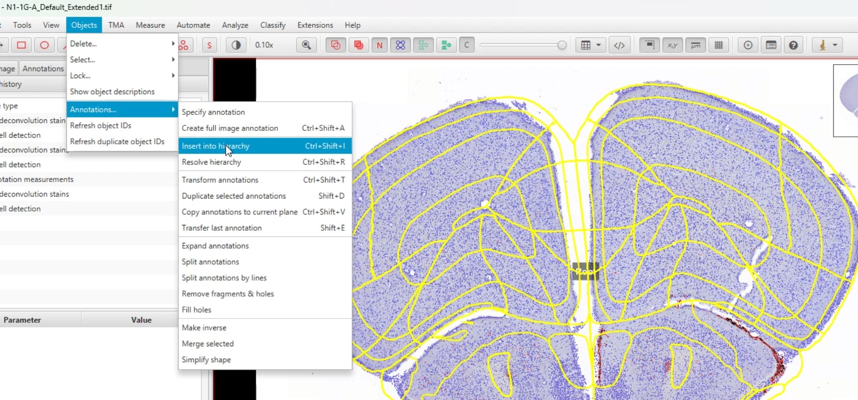Issue with ABBA brain atlas registration to QuPath cell detection pipeline: detected cells won't ...