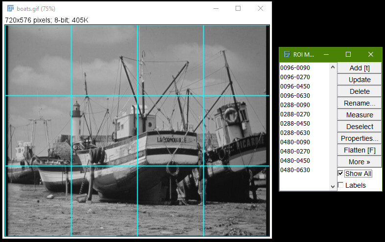 Hi, i have a question with for loop to use 'ImageJ' macro - Usage & Issues - Image.sc Forum