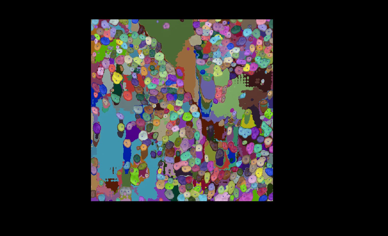 Creating Label Images with the Segment Anything Model (guide) - Image Analysis - Image.sc Forum