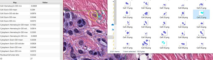 Generate bounding box images and their corresponding .xml(.json) files ...