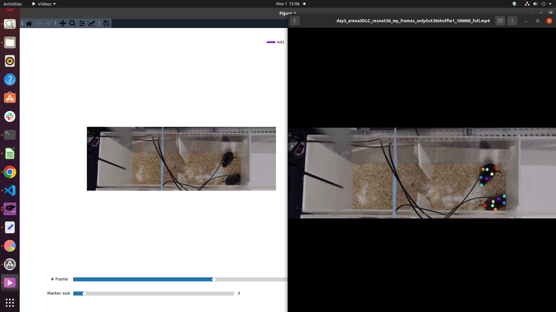 Multi animal Deeplabcut - Video labelled not matching with CSV - Image Analysis - Image.sc Forum