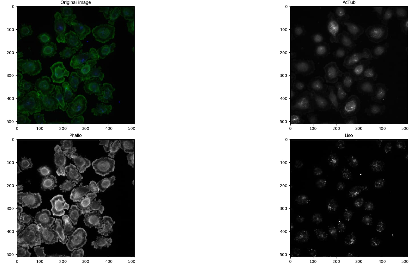MeasureObjectIntensityDistribution usage in CellProfiler - Usage & Issues - Image.sc Forum