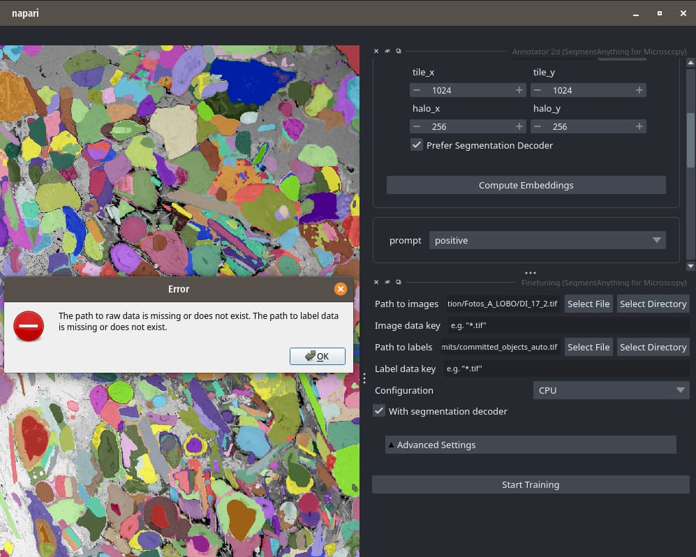 Error at running micro-sam fine-tuning - Usage & Issues - Image.sc Forum