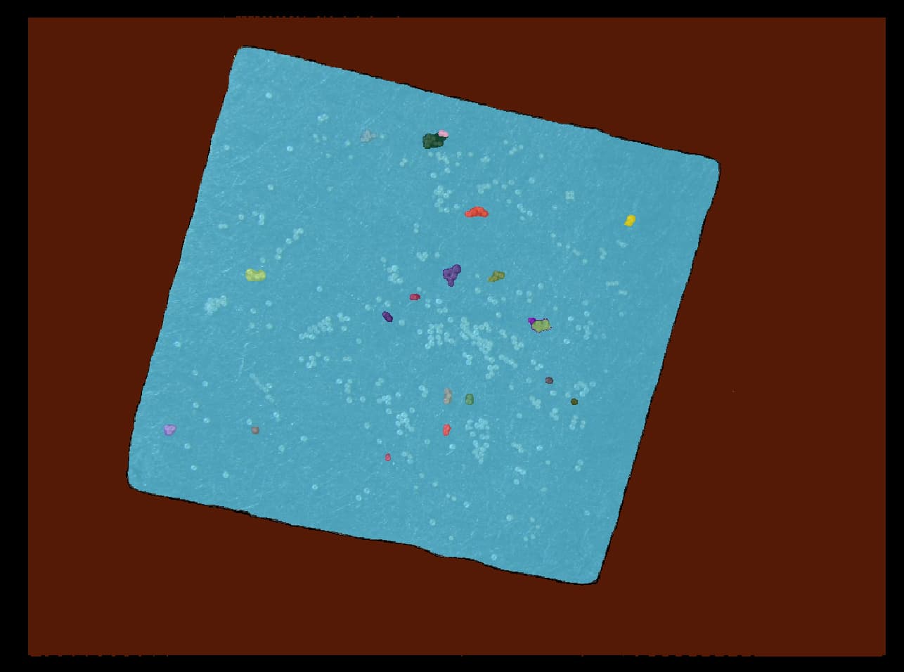 Creating Label Images with the Segment Anything Model (guide) - Image Analysis - Image.sc Forum