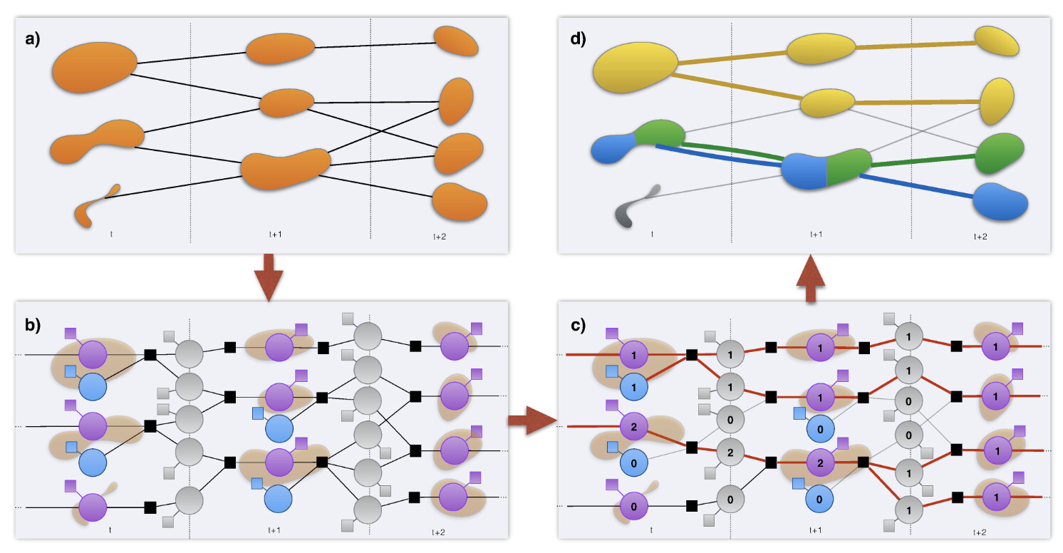 Ilastik cell tracking - Image Analysis - Image.sc Forum