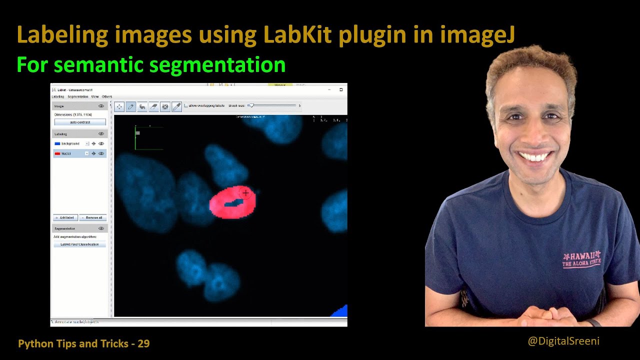 How To Export Multiple Labels As Same Bitmap File In Labkit Usage And Issues Imagesc Forum