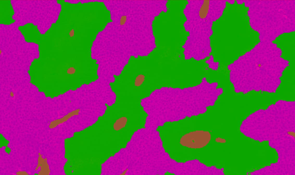 Using Pixel Classifier Output To Classify Objects In Qupath Image