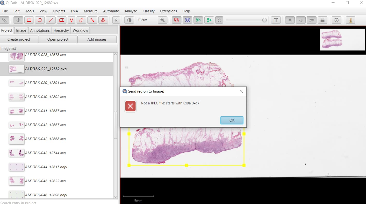 Error while sending region to ImageJ - Usage & Issues - Image.sc Forum