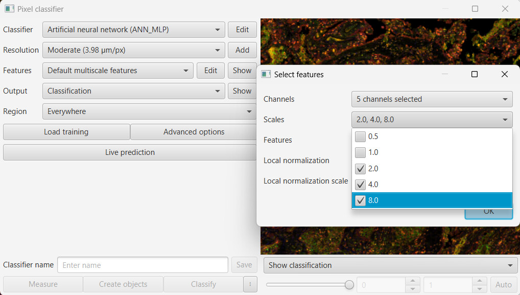 QuPath - Train Pixel Classifier - add more scales - Development - Image.sc Forum