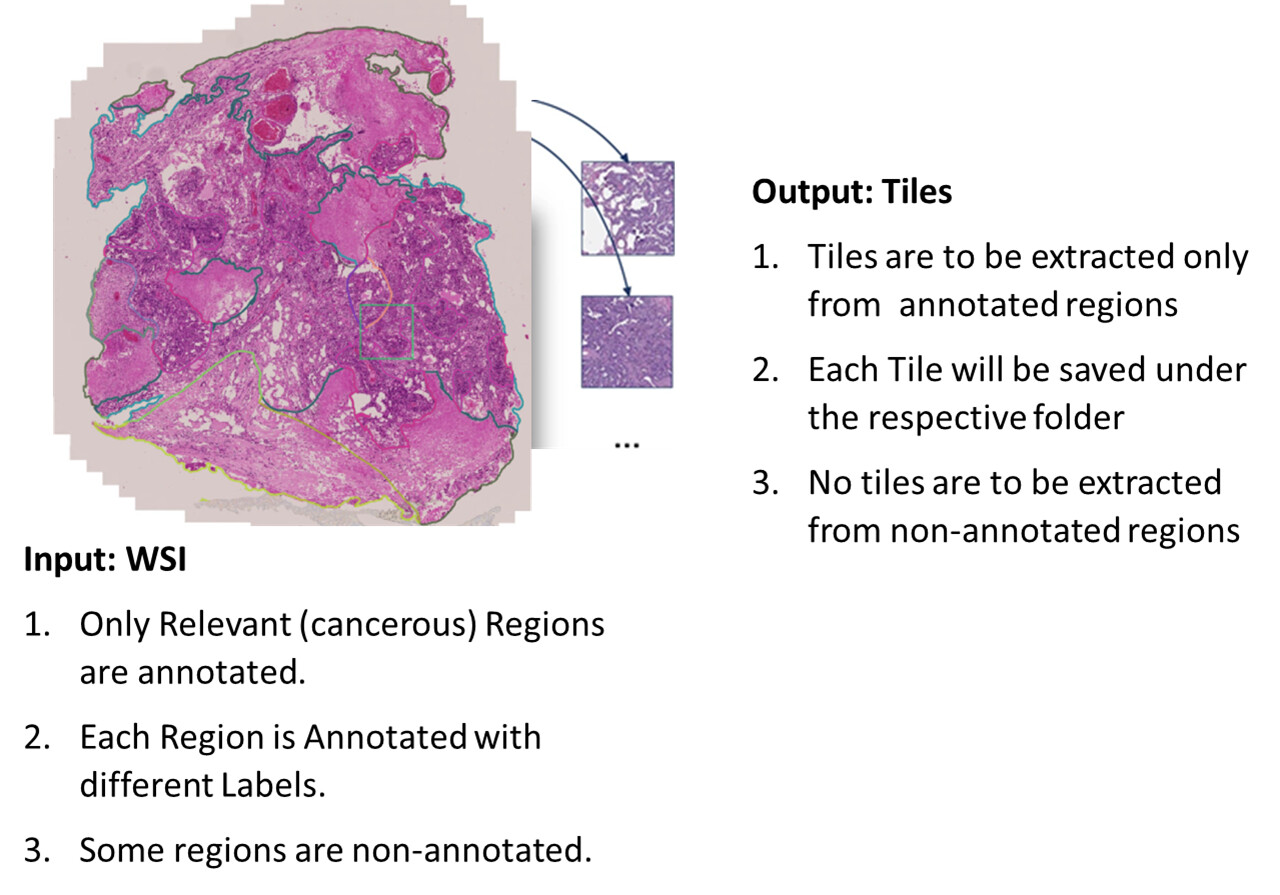 Export Labelled Tiles from Annotated regions of WSI to build labelled ...