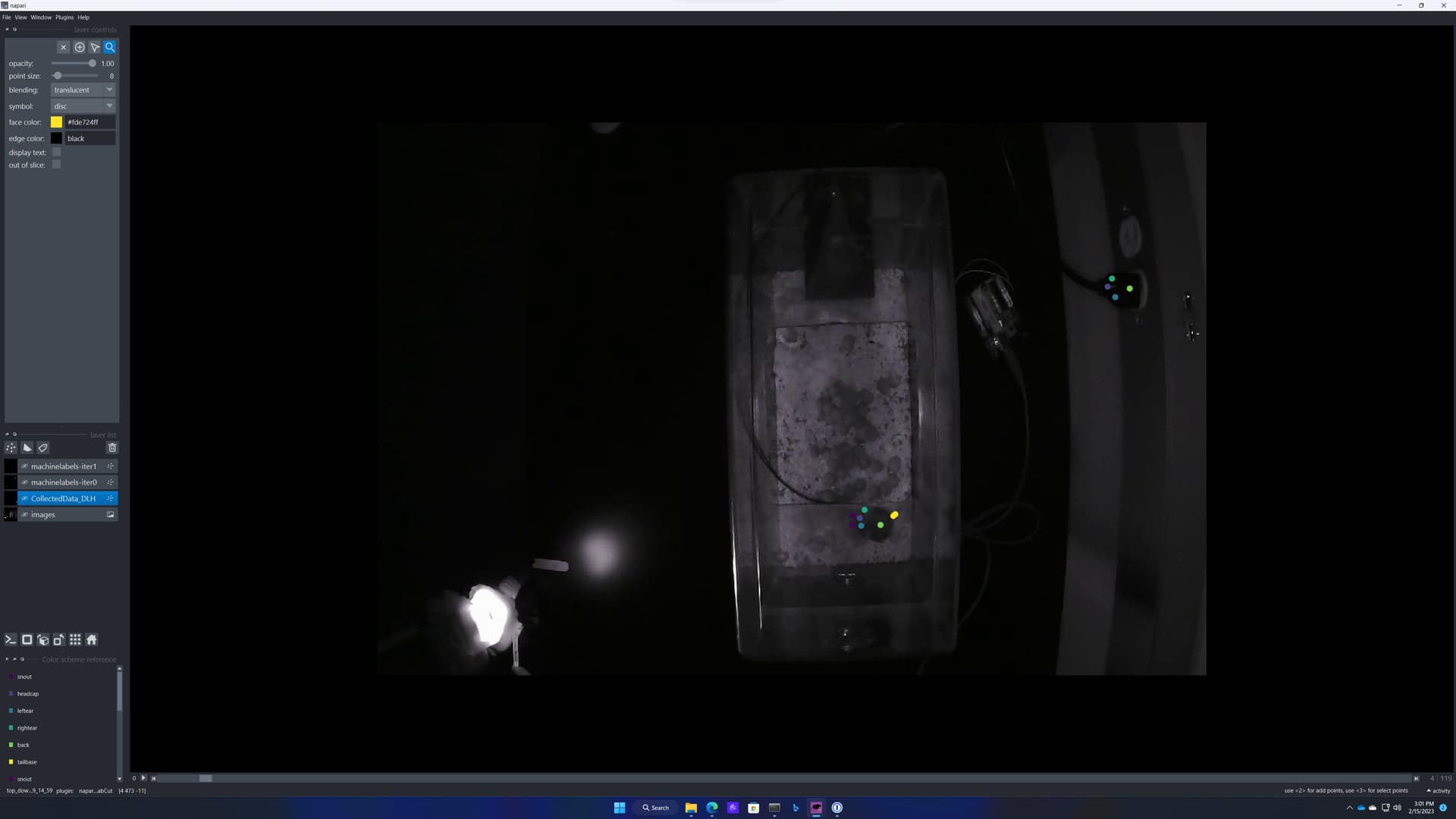 Napari labeling GUI issues? - Usage & Issues - Image.sc Forum