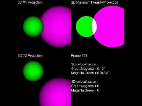 2D vs 3D colocalization demonstration - Image Analysis - Image.sc Forum