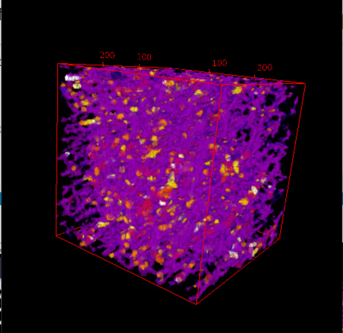 Ellipsoid Factor Returning same Median EF Value for majority of samples ...