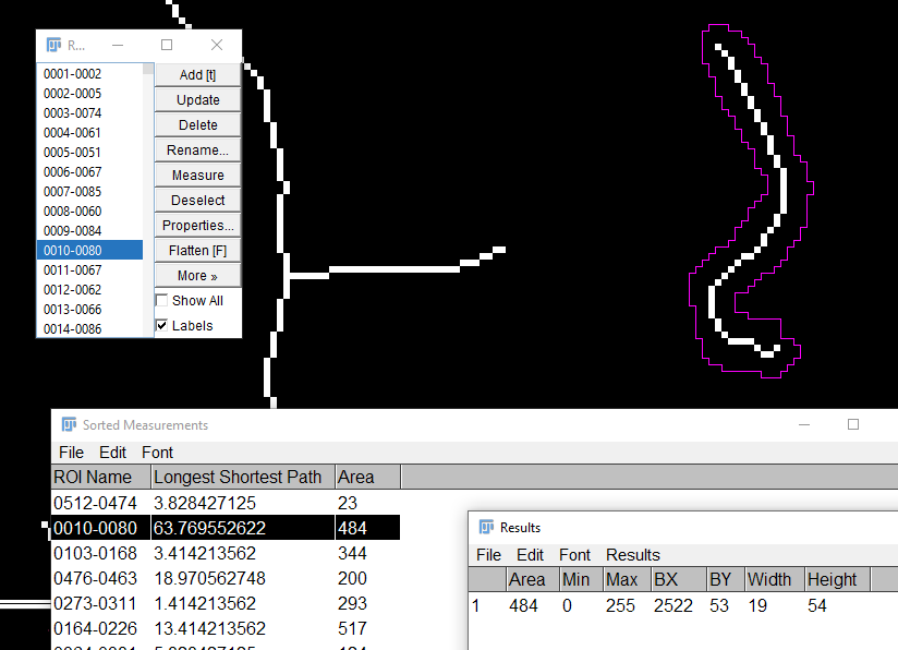How to Combine Skeletonize and Analyze particles? - Image Analysis ...
