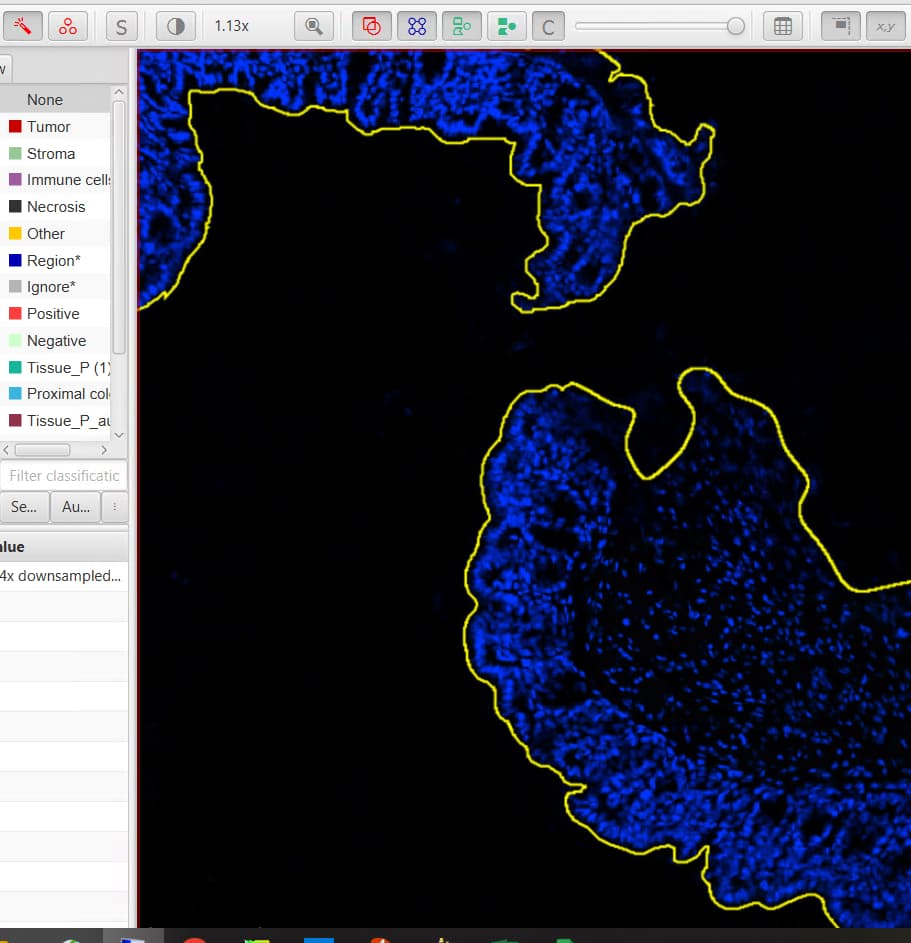 Qupath automatically mimic wand tool for large annotations (maybe a ...