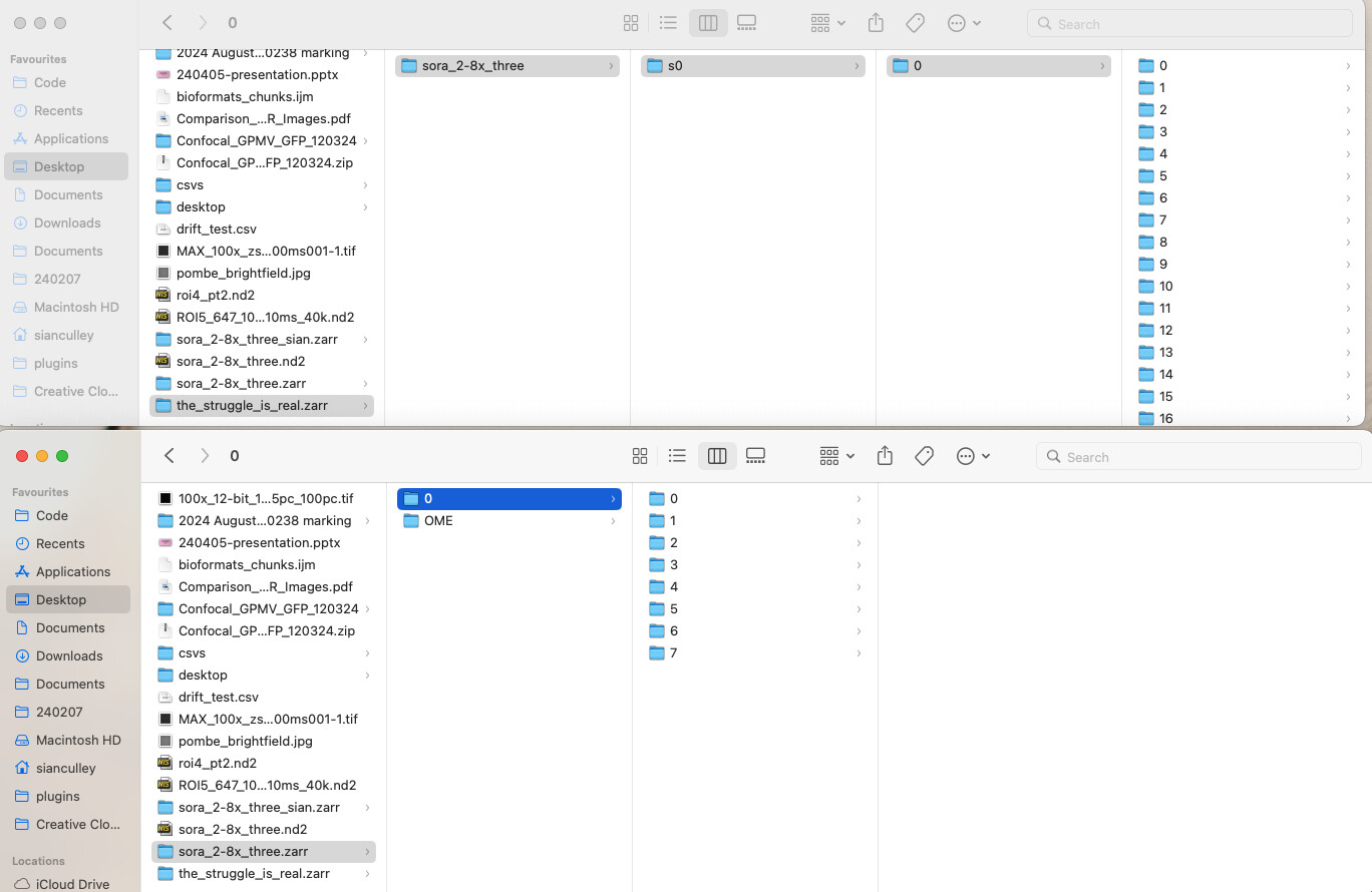 General Zarr pain - XYC fluorescence microscopy data - Usage & Issues ...