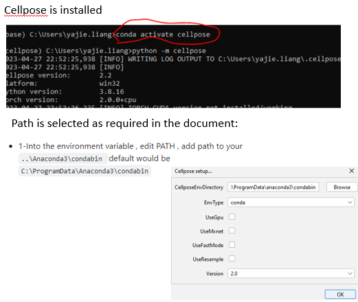 Imagej wrapper of cellpose - Image Analysis - Image.sc Forum