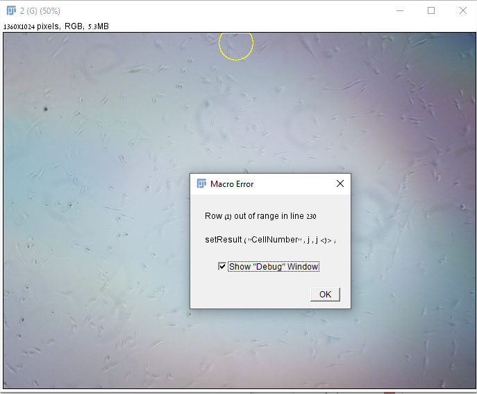 ImageJ Macro error - row out of range - Usage & Issues - Image.sc Forum