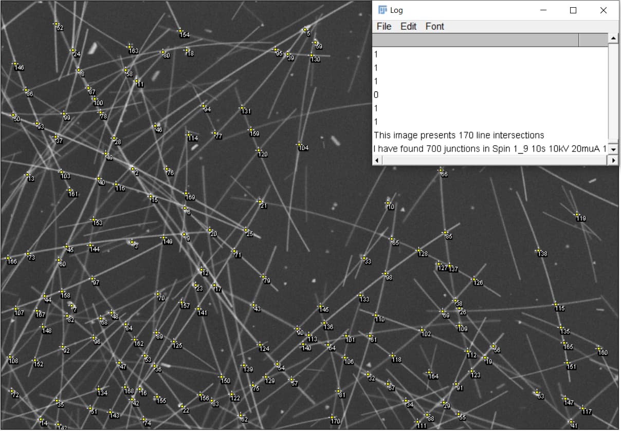 Counting Line Intersections Using Imagej Image Analysis Image Sc Forum