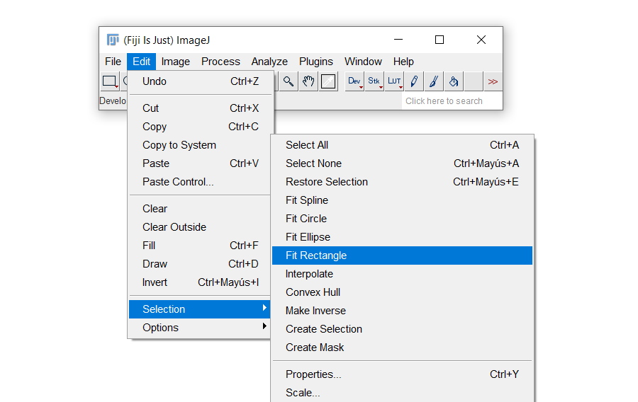 Crop a freehand roi to an new image after rotation - Development ...
