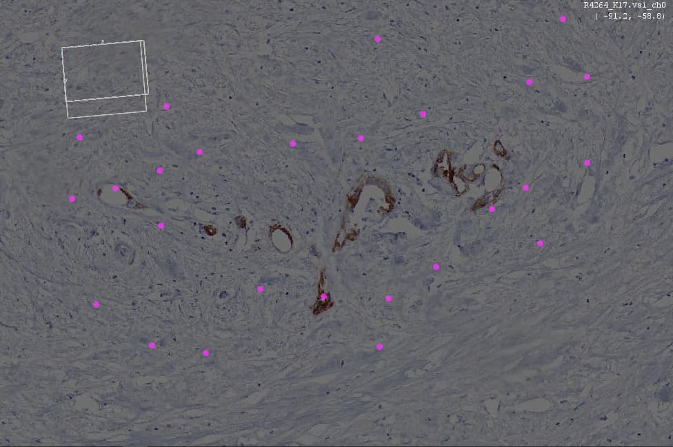 Visualization of alignment in QuPath doesn't match quality of ImageJ ...