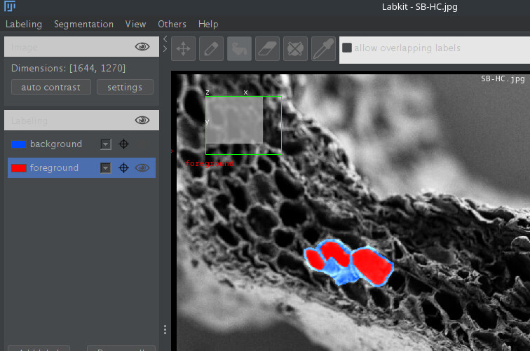 I would like to run a WEKA segmentation in ImageJ for a hydrochar sample and measure all the ...