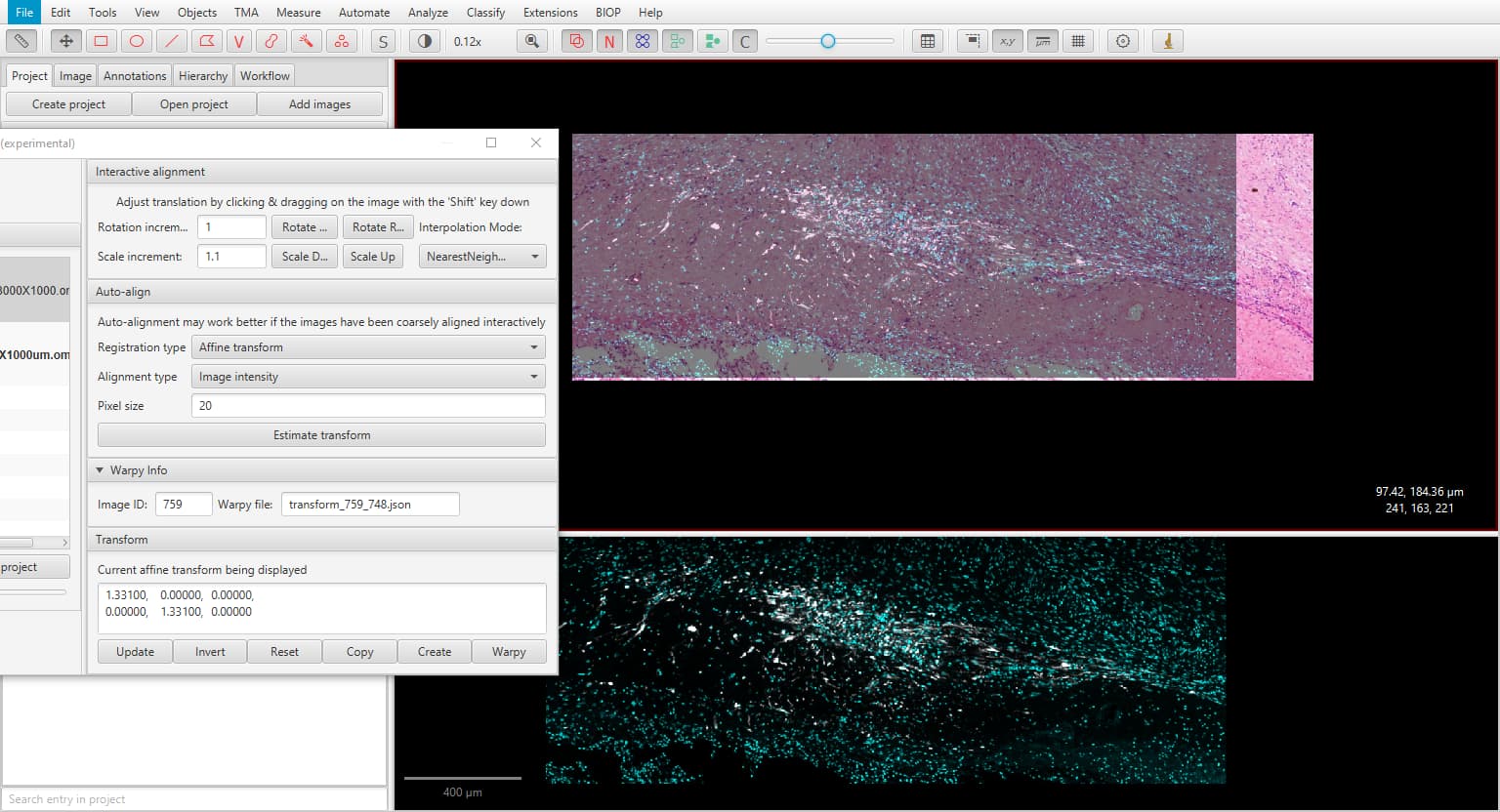 Some issues with warpy - Usage & Issues - Image.sc Forum