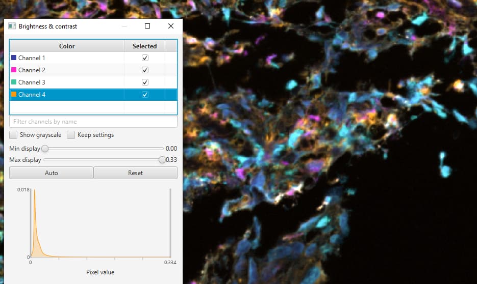QuPath white background - Page 2 - Usage & Issues - Image.sc Forum