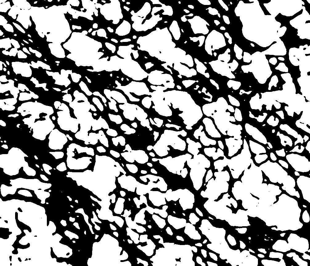 Creating binary image from SEM image of ductile dimples on fracture surface - Image Analysis ...