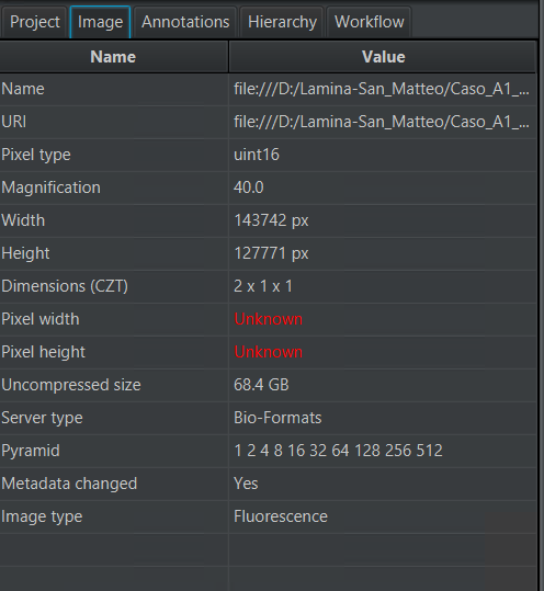 Qupath Cellpose Creating Strange Measurements Names For Cells Usage And Issues Image Sc Forum