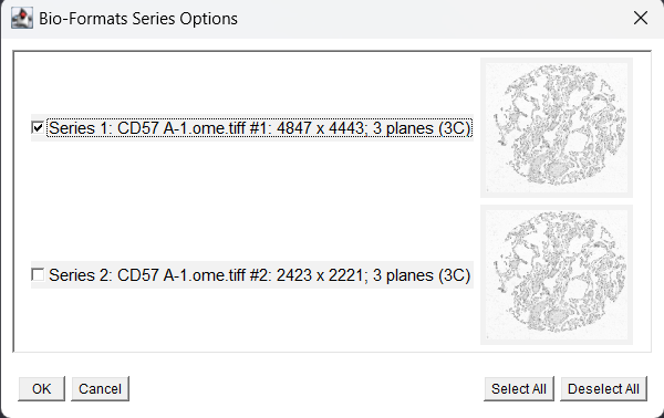 Automated Opening of OME.TIF per scripting in ImageJ - Usage & Issues - Image.sc Forum