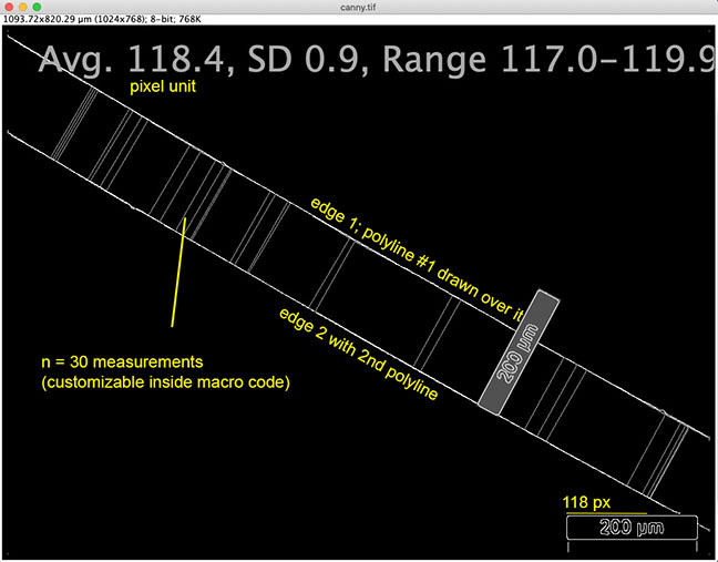 ImageJ macro to measure distance between two lines/edges ...