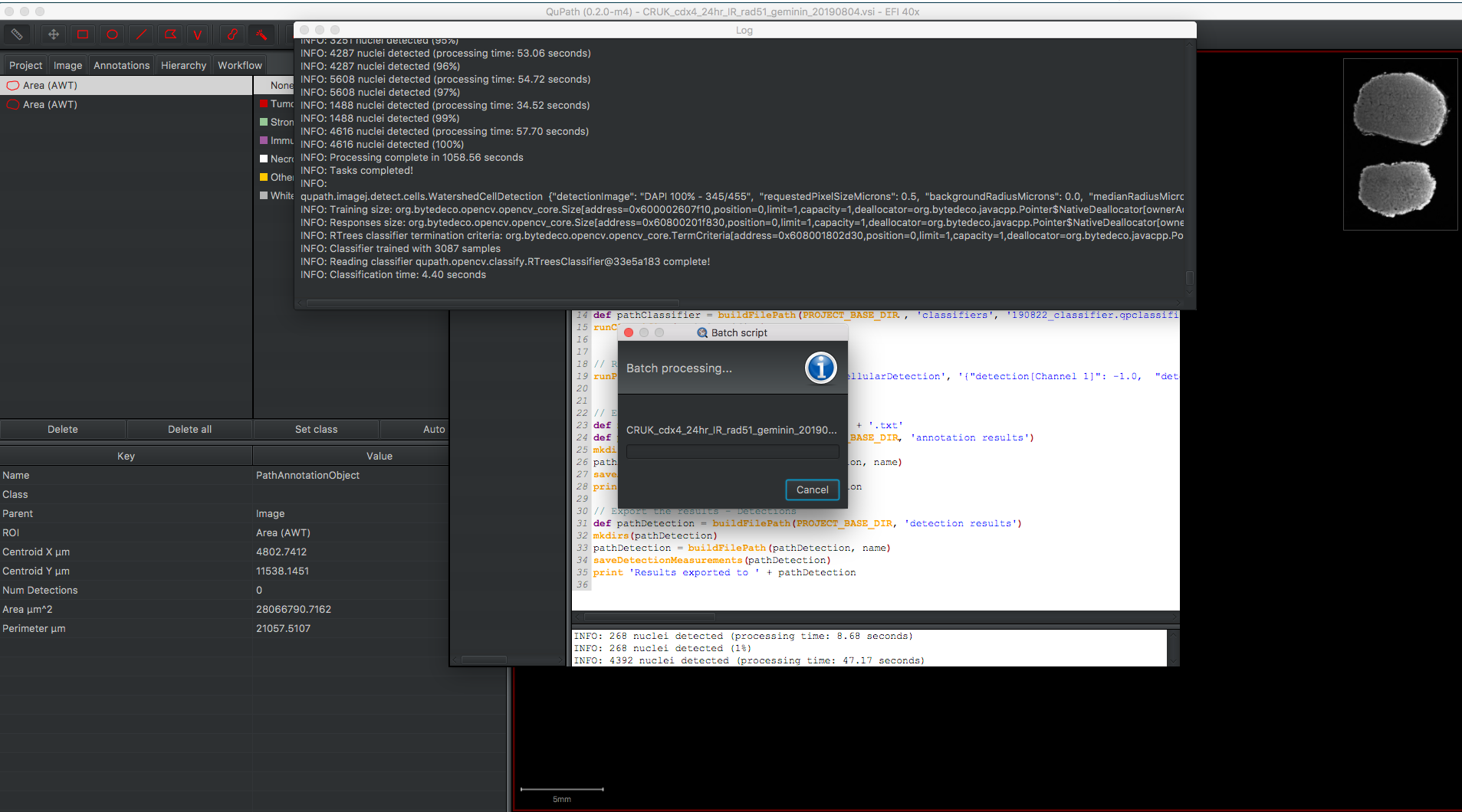 Help writing script with QuPath - Image Analysis - Image.sc Forum